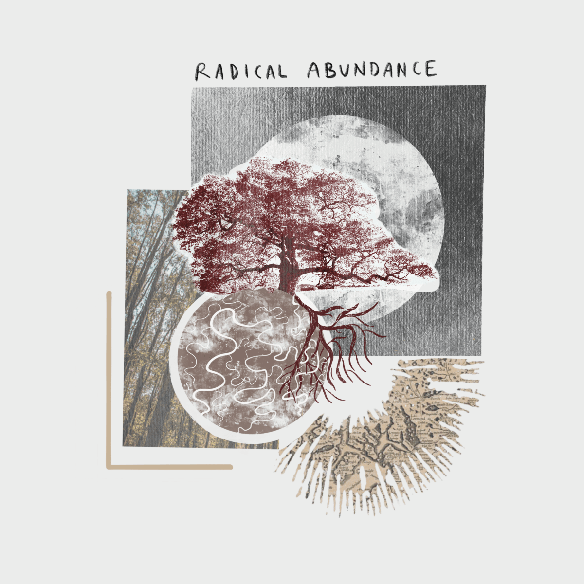 Radical Abundance – VICTORIA HUME | MUSIC